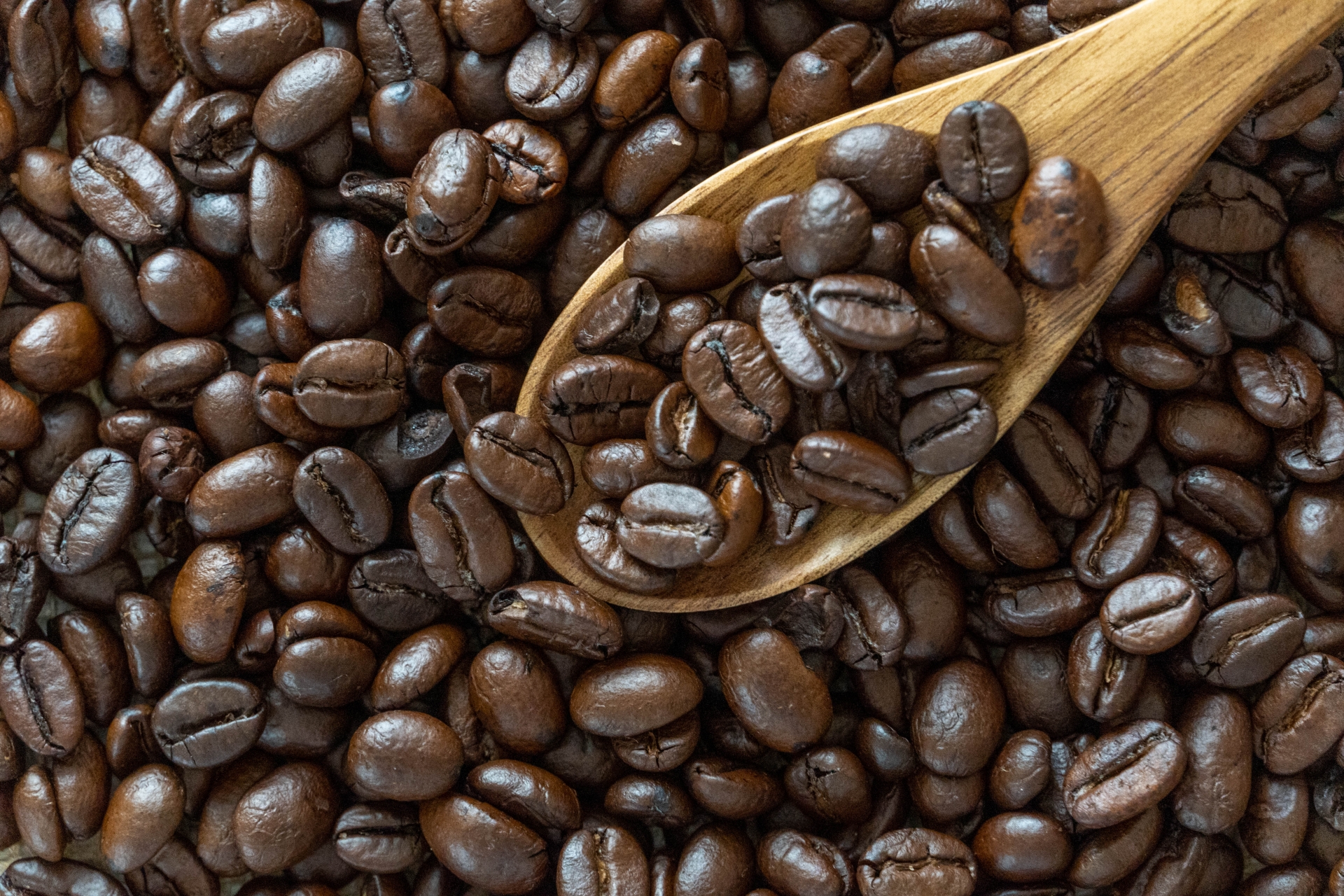 RED POISON COFFEE ROASTERS 「コーヒー牛乳の素」